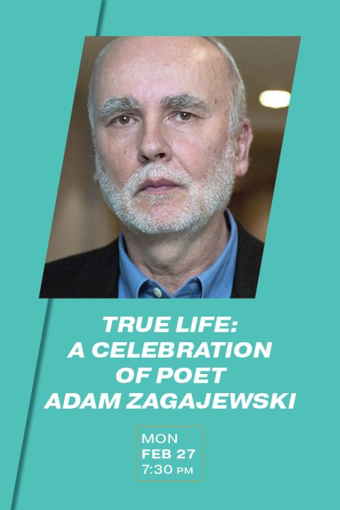 DACAMERA | Transformative Musical Experiences