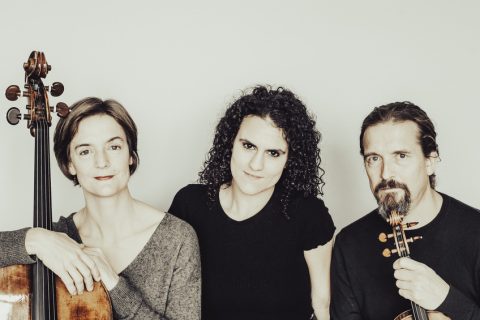 Tetzlaff-Tetzlaff-Dörken Trio | DACAMERA